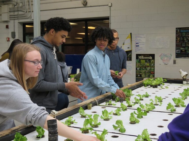 Fulfilling a Unique Mission at Chicago High School for Agricultural ...