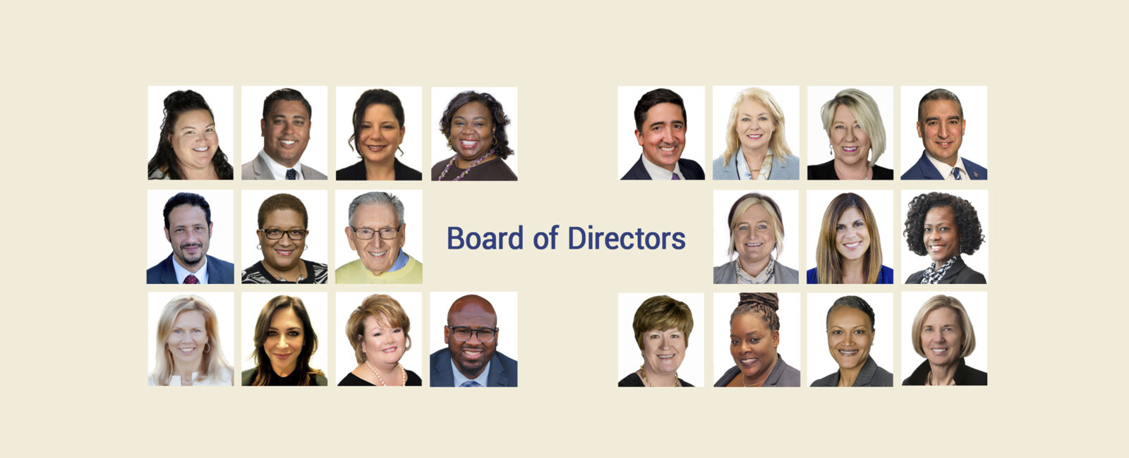 Board of Directors – Magnet Schools of America